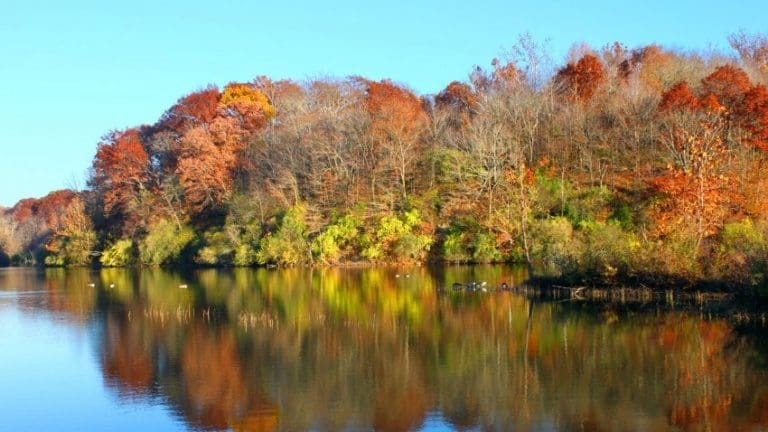 About Kickapoo Adventures